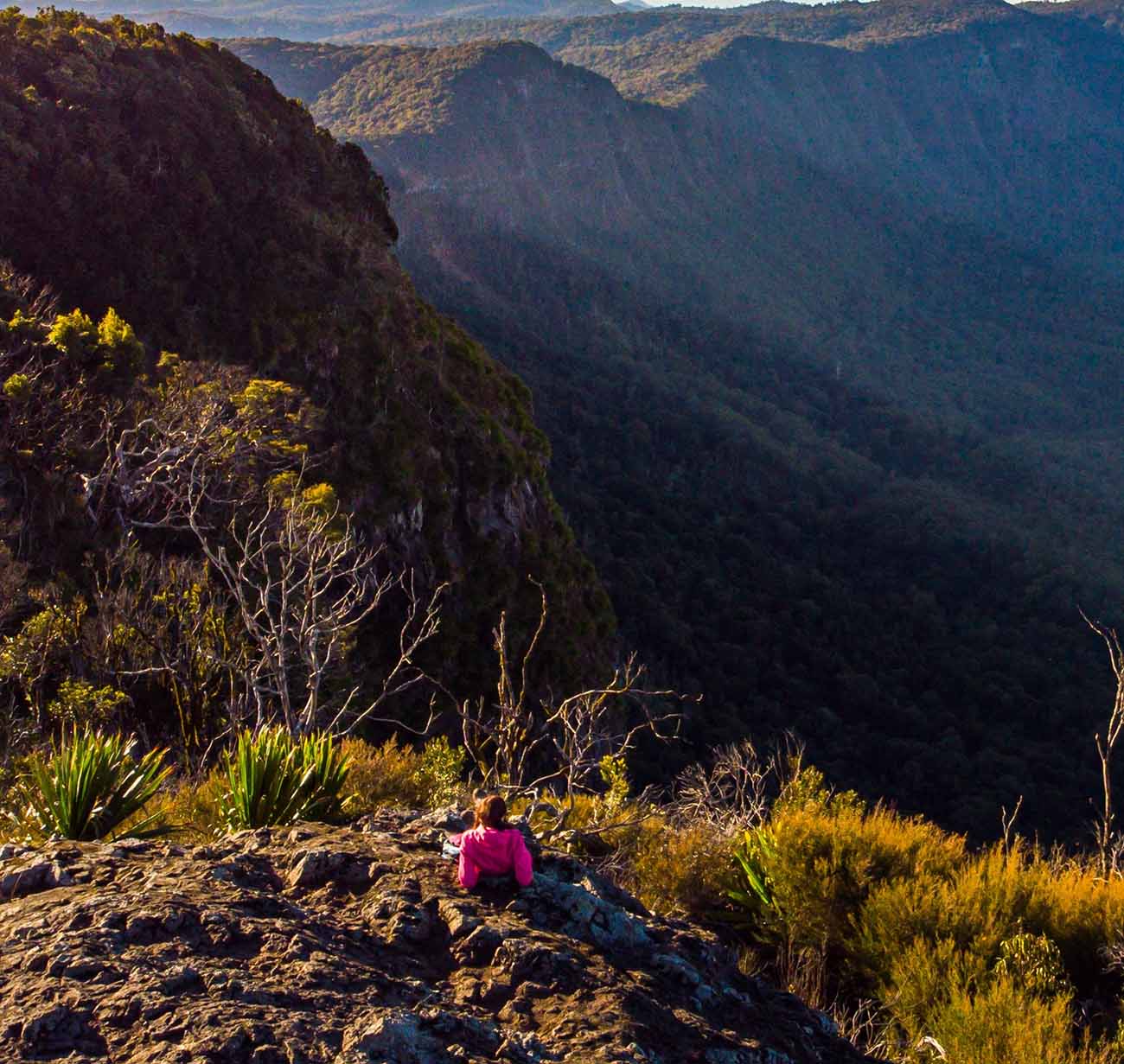 Australian Hybrid Plank - Heartridge Flooring